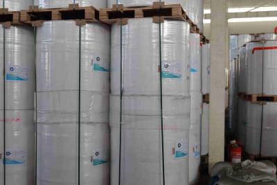 BPA-Free Jumbo Thermal Paper Roll for ATM & POS Printers - Oil Resistant