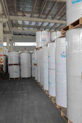 China Directe thermische druktechnologie Thermische etiketteringspapierrol Zwarte afbeelding ≥5 jaar Beeldlevensduur Voor eenvoudige etiketteringsdiensten for sale