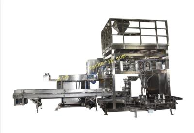 China Het Systeem van OPAL Open Mouth Bag Bagging en het Palletiseren Te koop
