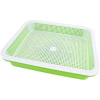 China PP Hydroponic Sprouting Trays Seed Germination Tray with Humidity Adjustable Lid 50 Cells for sale