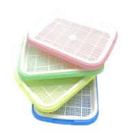 China PP Hydroponic Sprouting Trays Seed Germination Tray with Humidity Adjustable Lid 50 Cells for sale