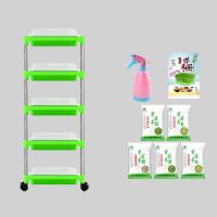 China PP Plastic Square Seedling Tray Custom Size Recyclable Nursery Pot for Hydroponic for sale
