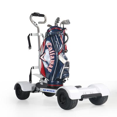 Cina Dual Motor 4 Wheel Mobility Scooter Golf Cart Skateboard Electric Scooter in vendita