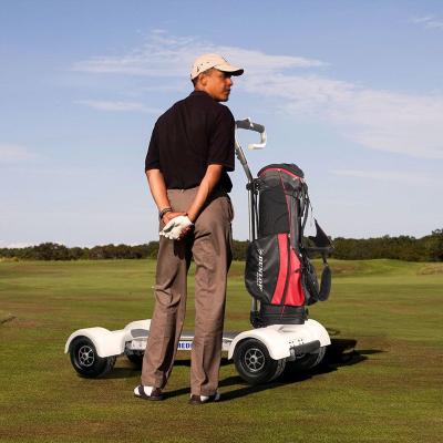 Cina Dual Motor 4 Wheel Mobility Scooter Golf Cart Skateboard Electric Scooter in vendita