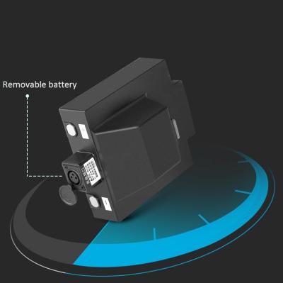 Cina 3 Wheel Electric Mobility Scooters Battery Brushless Motor Lightweight Scooter in vendita