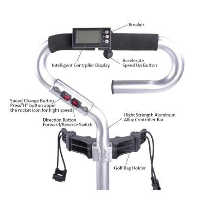 Cina CE Certificate Lightweight Mobility Scooters Electric Golf Buggy Scooter in vendita