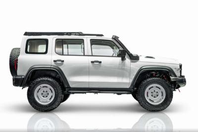 China Todos os veículos off-road confortáveis no terreno na China Tanque 300 à venda