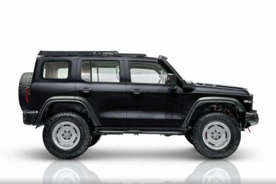 China Todos os veículos off-road confortáveis no terreno na China Tanque 300 à venda
