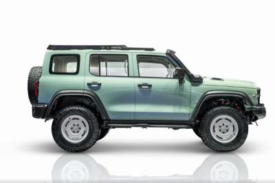 China Todos os veículos off-road confortáveis no terreno na China Tanque 300 à venda