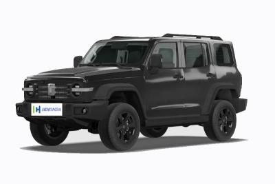 China Alle terreinen Comfortabele off-road voertuigen in China Tank 300 Te koop
