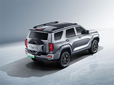 China Tank 400 Hi4T Hybrid Great Wall Motor SUV 5 zitplaatsen Gwm EV Car 210km bereik Te koop