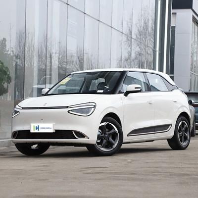 Cina Nuova Energia 2024 Dongfeng Nammi 01 Auto elettrici 330Km 430Km in vendita