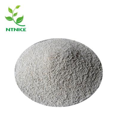 China Environmental universal high absorption oil liquid Absorbent Granule for sale