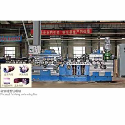 China Warmgewalste Membraancomité Productielijn Vlakke Bar het Eindigen Machine Te koop