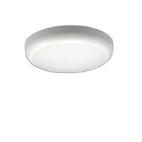 China Radar Sensor Switchable LED Ceiling Lights with 80 CRI and Dust-proof Insect-proof for sale