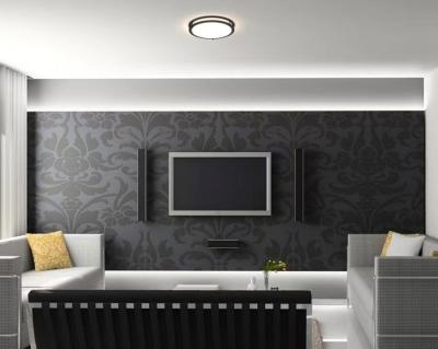 China 120V 25W 5CCT Middelgrootte 16 inch LED Double Ring geïntegreerde plafondlamp CL-B1628 Te koop