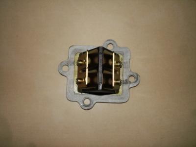 China 1P40MB 2T ENGINE REED VALVE ASSY for sale
