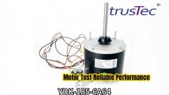 Changzhou Trustec YDK-185-6A64  Condenser Fan Motor Test.