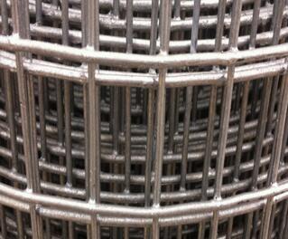 China Welded Wire Mesh Type SS304, 1-1/2×1/2