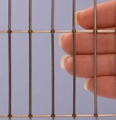 China Welded Wire Mesh Type SS304, 2