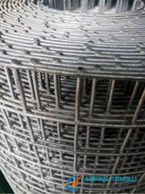 Chine Grillage soudé galvanisé plongé chaud, couche épaisse de protection de zinc à vendre