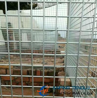 Chine Low Carbon Steel Welded Wire Mesh Used for Livestock/Poultry Cages à vendre