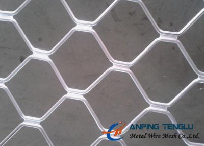 Chine Beautiful Grid Mesh for Protection, Firm Structure & Corrosion Resistance à vendre