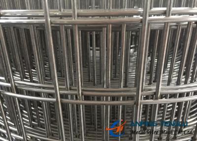 Chine AISI304, AISI304L, AISI316, AISI316L Welded Wire Mesh, Polished Surface à vendre