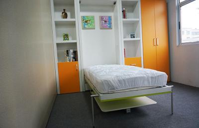 China Multifunctional Adjustable Single Murphy Wall Bed Eco-friendly 60mm Panel for sale