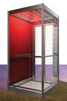 China European Standard Observation Elevator / Residential Lift Home Lift with Painted Steel Laminated Safety Glass Car Wall for sale