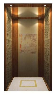 China Residential lift home lift / Elevator for home use for sale