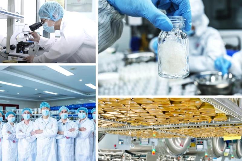 確認済みの中国サプライヤー - ZeaGrove (Guangzhou) Health industry Co., Ltd