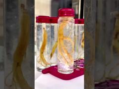 Dagelijks wellness drankje met Reishi & Vogelnest Natuurlijke balans voor lichaam en huid Voed kalme Ondersteuning Immuniteit
