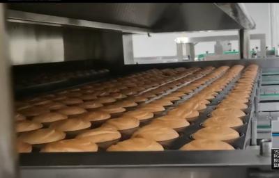 Cina Linea di produzione automatica di hamburger dei panini della macchina industriale di panificazione in vendita