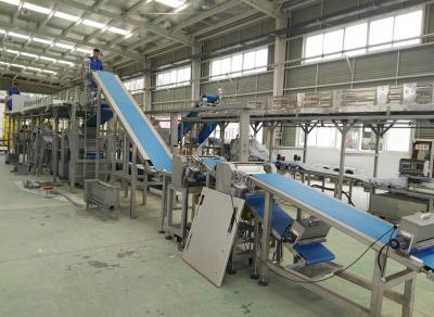 Cina Più piccola linea di produzione del soffio ZKS380 con due tunnel di congelamento automatici in vendita