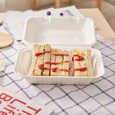 Cina Contenitori eliminabili 600ml della bagassa di pranzo della canna da zucchero asportabile della scatola in vendita