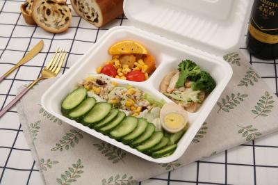 China 3 Compartment Sugarcane Bagasse Lunch Box Clamshell Containers For Camping Picnic for sale