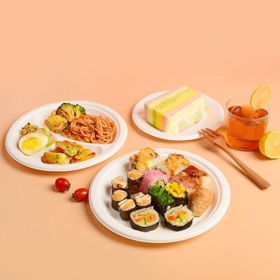 Quality Piatto di carta a 9 pollici degradabile eliminabile della canna da zucchero della scatola di pranzo della ciotola del piatto della polpafor sale
