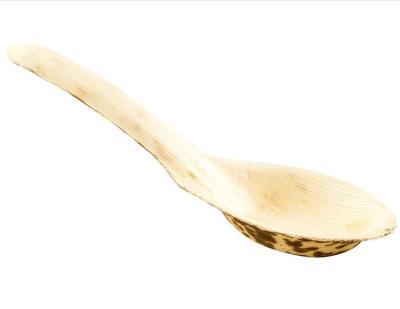 China ODM de bambu descartável natural amigável da colher do gosto de Eco à venda