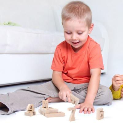 Cina Il numero di legno di Jenga dell'equilibrio blocca le particelle elementari di legno enormi dei giocattoli 16cm in vendita
