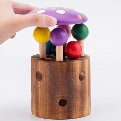 Cina Fermo di legno il gioco del verme per addestramento della coordinazione mano-occhio dei bambini in vendita