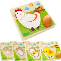 China 3D Chicken Growth Process Wooden Multi Layer Puzzle for sale