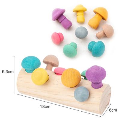 Cina Fungo di legno dei bambini che seleziona i blocchetti DIY 3D dell'arcobaleno dei giocattoli in vendita