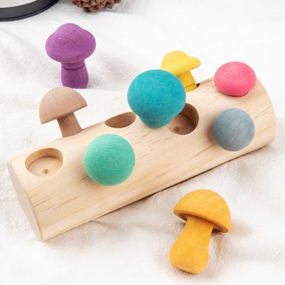 Cina Fungo di legno dei bambini che seleziona i blocchetti DIY 3D dell'arcobaleno dei giocattoli in vendita