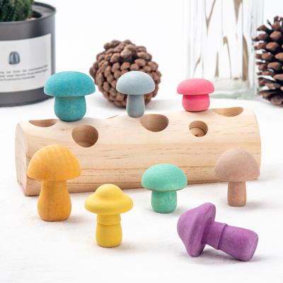 Cina Fungo di legno dei bambini che seleziona i blocchetti DIY 3D dell'arcobaleno dei giocattoli in vendita