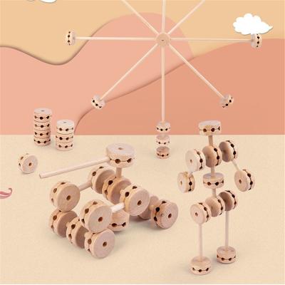 Cina la fortificazione Buliding di legno della costruzione 3D blocca Diy monta Montessori educativo in vendita