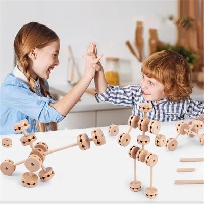 Cina la fortificazione Buliding di legno della costruzione 3D blocca Diy monta Montessori educativo in vendita