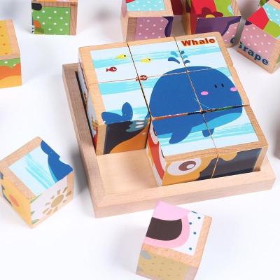Cina cubi a sei facce educativi delle particelle elementari di legno 3D per i bambini in vendita