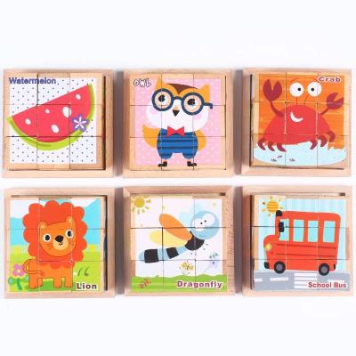 Cina cubi a sei facce educativi delle particelle elementari di legno 3D per i bambini in vendita