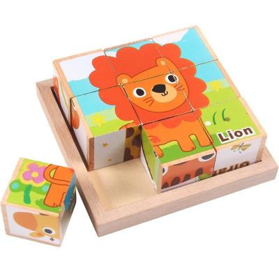 Cina cubi a sei facce educativi delle particelle elementari di legno 3D per i bambini in vendita